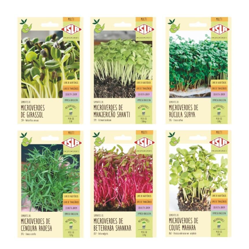 15 tipos de Microverdes para você começar a plantar em casa – Plante Tudo